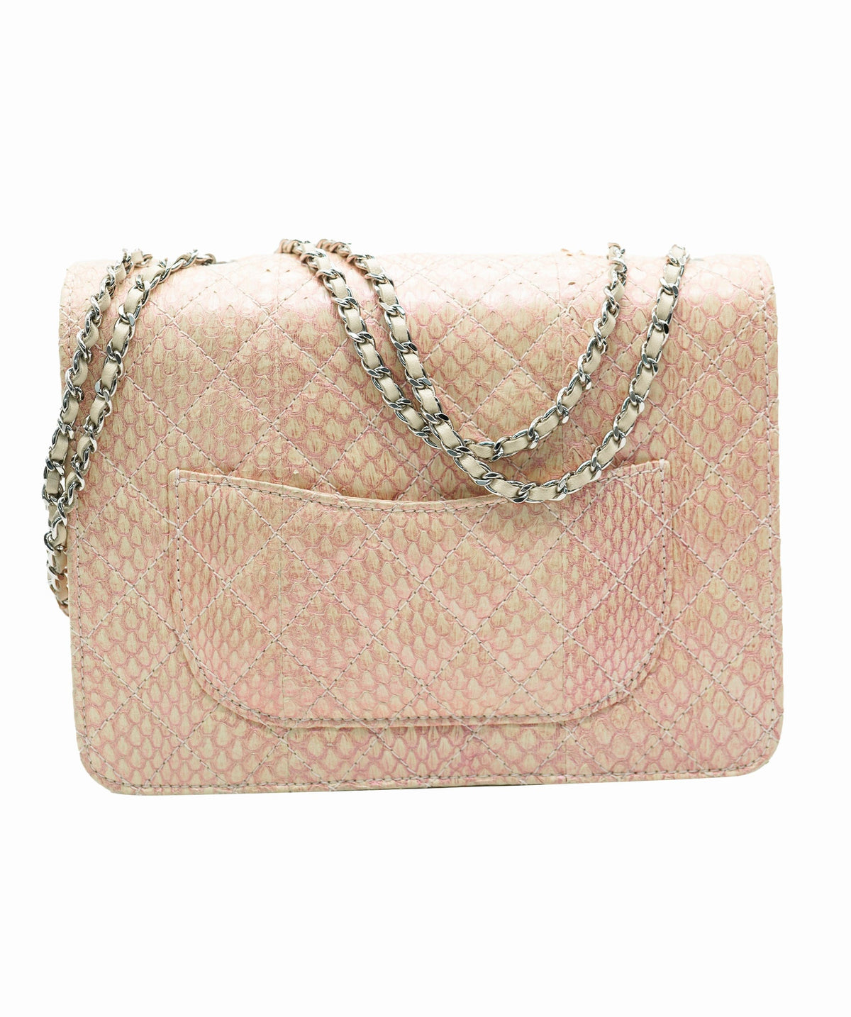 Chanel snake skin rainbow flap bag AVC1946 – LuxuryPromise