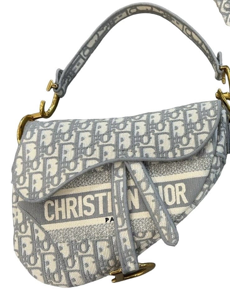 Dior Saddle in Light Grey – Luxury Promise